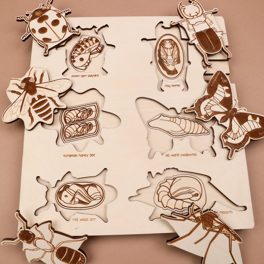 Bug Life Cycle Wooden Puzzle - 24 Pieces – Little Goose Toys