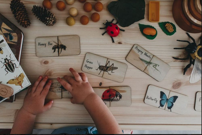 Bug Matching Puzzles, 18 pieces – Little Goose Toys