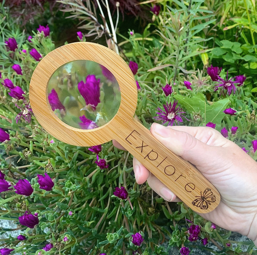 Explore Magnifying Glass – Little Goose Toys