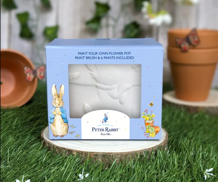 Peter Rabbit - Paint Your Own Plant Pot – Little Goose Toys